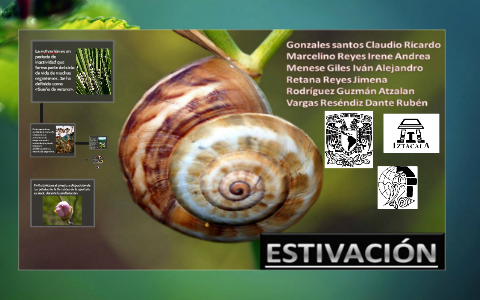 La estivación es un periodo de inactividad que forma parte d by ...