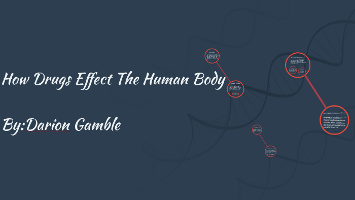 How Drugs Effect The Human Body by Ming Twin on Prezi