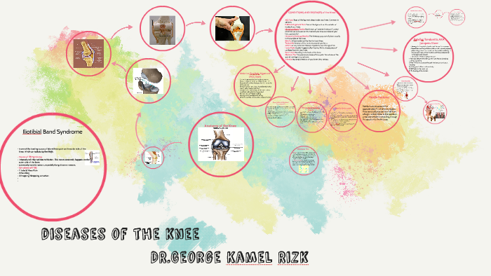 Anatomy of Knee by george rizk on Prezi