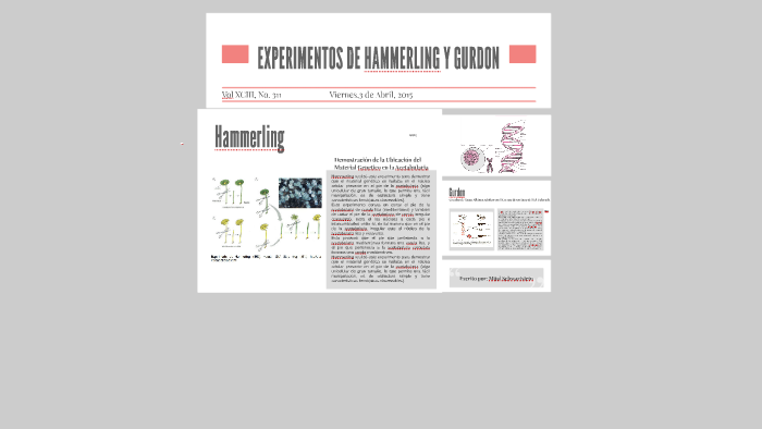 EXPERIMENTOS DE HAMMERLING Y GURDON by Mijal Schwartstein on Prezi