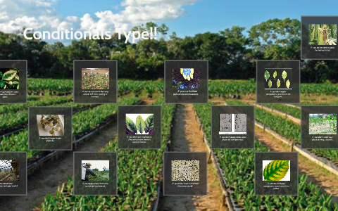 Conditionals Type!! by Florie Ramos on Prezi