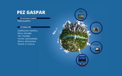 PEZ GASPAR by Diego de la Vega on Prezi