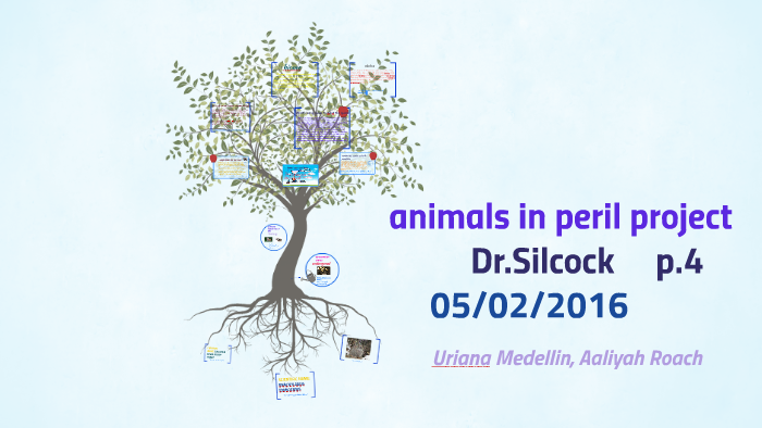 animals in peril project by Uriana Medellin on Prezi