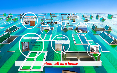 plant cell as a house by emiliano sacks on Prezi