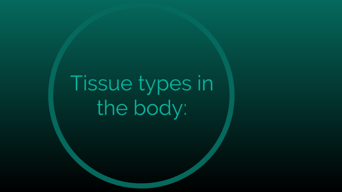 mind map by haley tillman on Prezi