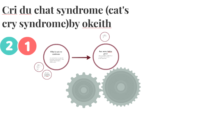 Cri du chat syndrome (cat's cry syndrome) by okeith reid on Prezi