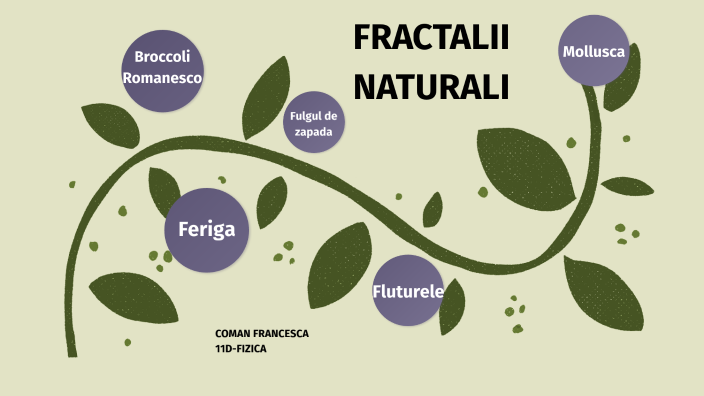 FRACTALII by Francesca Coman on Prezi