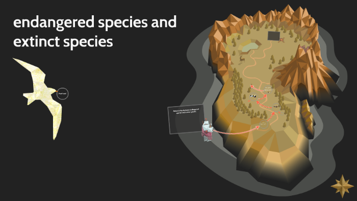 Relationship between endangered species and extinct species by avery ...