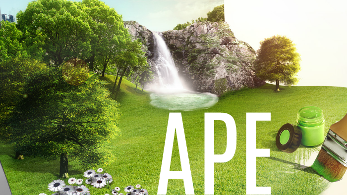 ape goal setting presentation by on Prezi