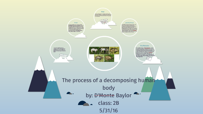 the process of a decaying human body by monte baylor on Prezi