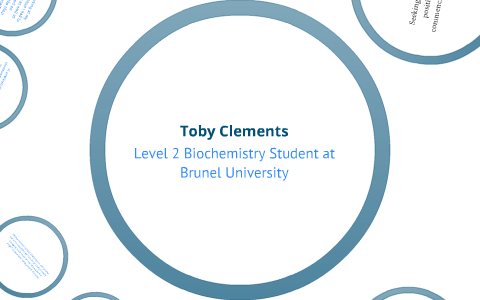 Reckitt Benckiser Presentation by Toby Clements on Prezi