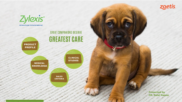 ZYLEXIS by Belal Nasser on Prezi