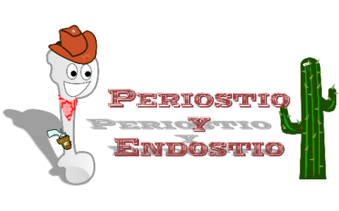 Como periostio se conoce a una membrana de tejido conectivo by Ranger ...