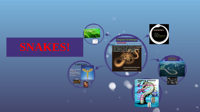 Snakes! by Brianne Rhodus on Prezi