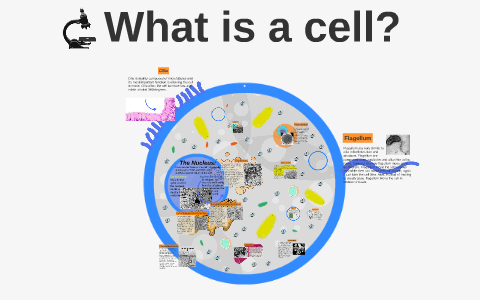 What is a cell? by Bri Reeves