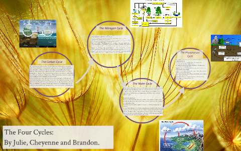 The Four Cycles by Julie Molnar on Prezi