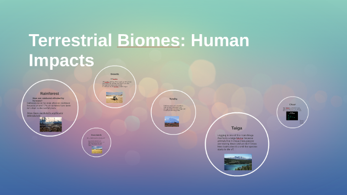 Terrestrial Biomes: Human Impacts by Ava Sims on Prezi