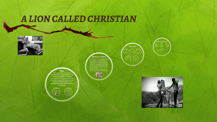 A LION CALLED CHRISTIAN by Juan Stenghele on Prezi