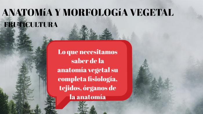 ANATOMIA Y MORFOLOGIA VEGETAL by Cristina Morales Santos on Prezi
