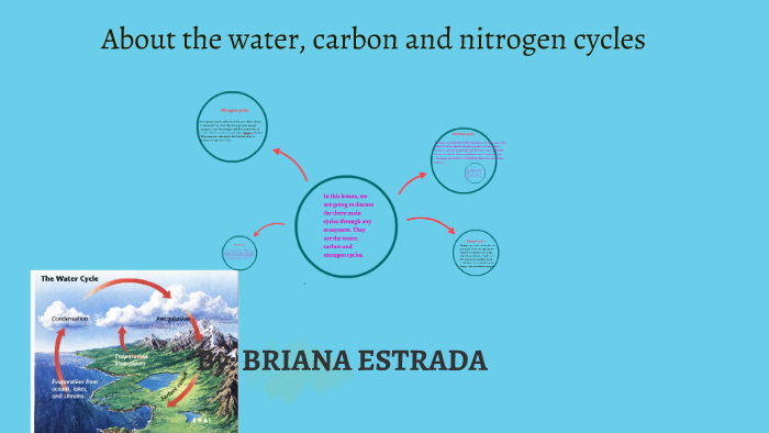 What factors affect the water cycle by briana estrada on Prezi