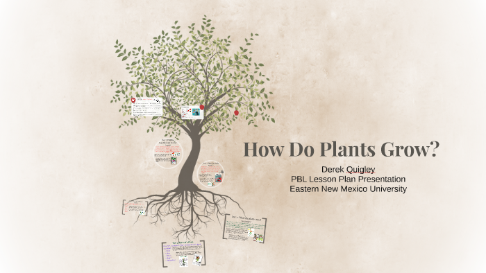 How Do Plants Grow? by Derek Quigley on Prezi