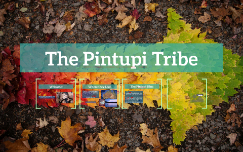 the Pintupi tribe by Jack M on Prezi