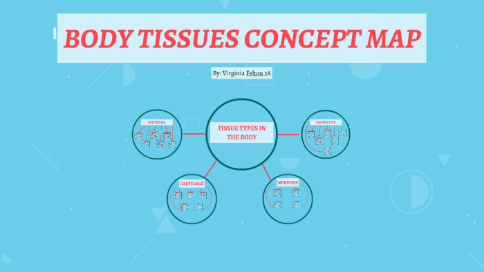 Body Tissues Concept Map by Virginia Felton on Prezi