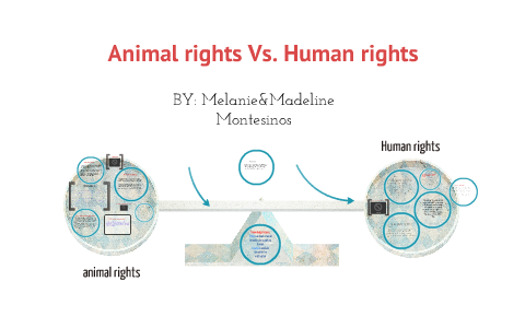 Animal vs Human rights by melanie montesinos on Prezi
