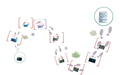 Hero's journey project by Adam Tims on Prezi