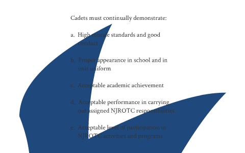NJROTC Ranks by Michael Jones on Prezi