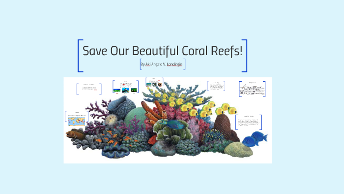 Coral Reef Science Project by Aki Angelo Landingin on Prezi