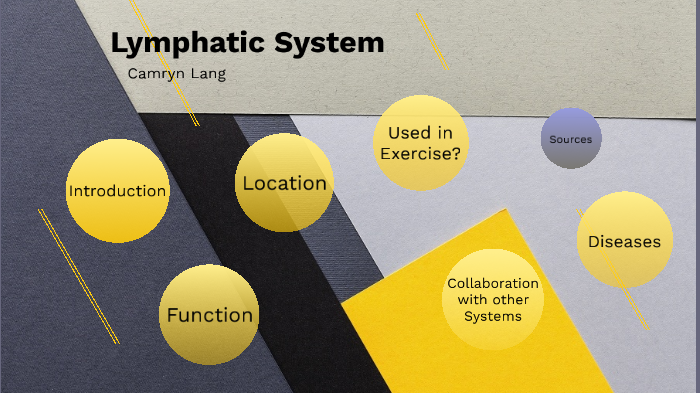 Lymphatic System - Intro to Exercise Science by Camryn Lang on Prezi
