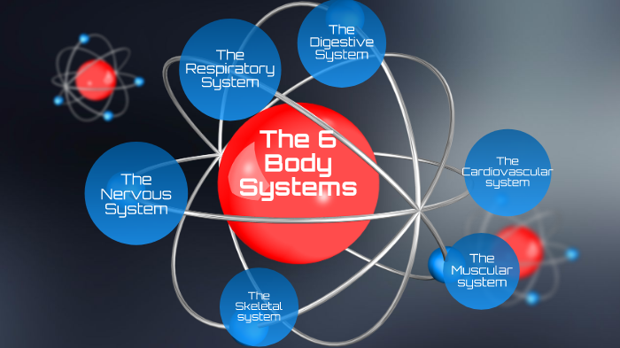 The 6 Body Systems by Jose Deniz on Prezi