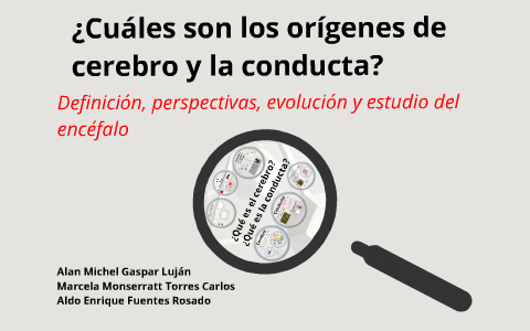 Cerebro y Conducta by Aldo Fuentes on Prezi