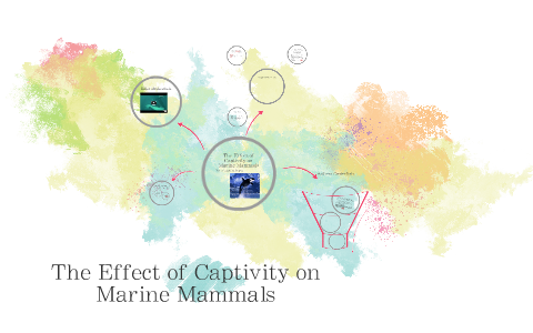 The Effect of Captivity on Marine Mammals by Alexandra Dang on Prezi