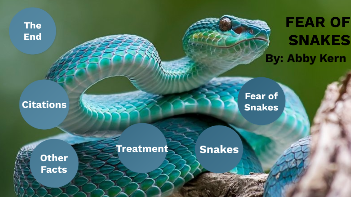 Phobia Of Snakes