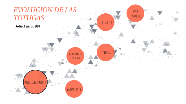 EVOLUCIÓN DE LA TORTUGA by SOFIA BELTRAN on Prezi