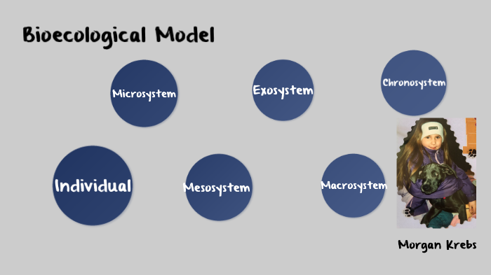 Bioecological Model by Morgan Krebs on Prezi
