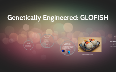 Genetically Engineered GLOFISH by Sam Molina on Prezi