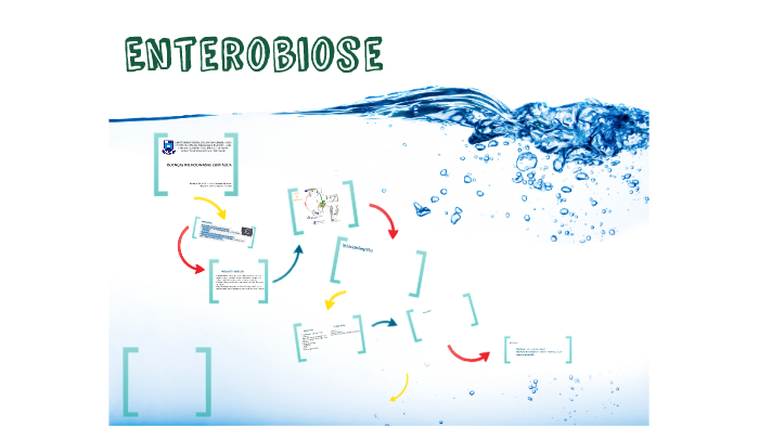 Enterobiose by Dani Reis on Prezi