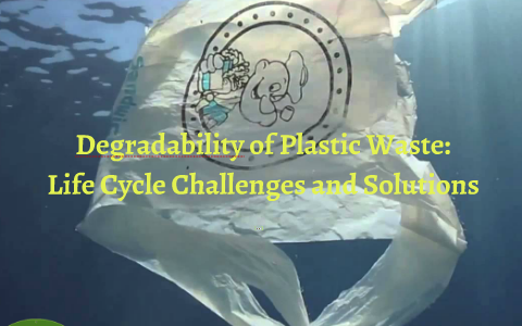 Degradability of Plastic Waste: Life Cycle Challenges and So by Daniel ...