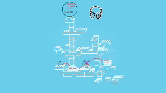 seedfolks final exam! by sadak elmi on Prezi