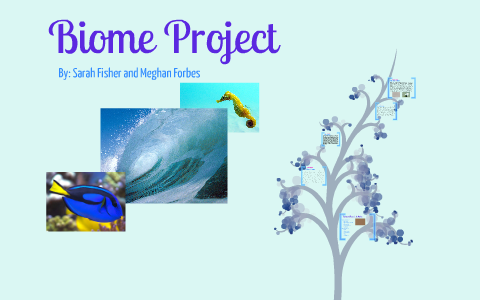Marine Biome Project by Sarah Fisher on Prezi
