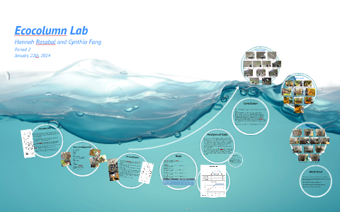Ecocolumn Lab by Hannibal R on Prezi