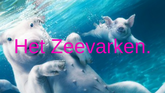 zeevarken is niet het echten varken maar het roze dier van de zee by ...