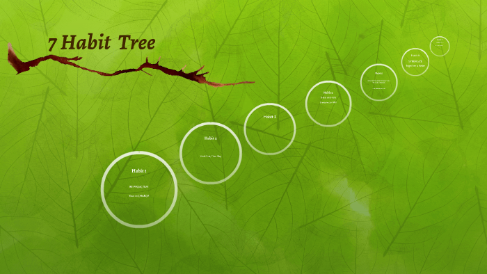 7 Habit Tree by Brianna Raynor on Prezi