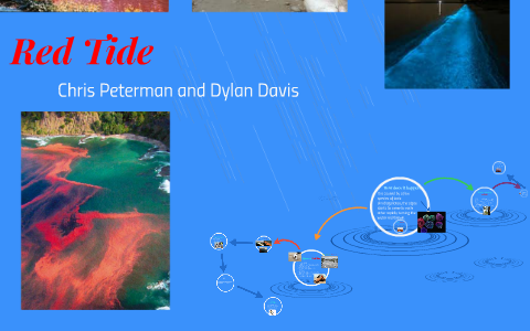 Red Tide by dylan davis