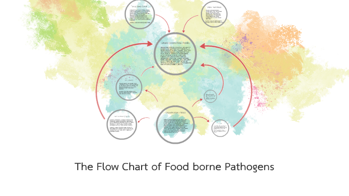 The Flow Chart of Food Borne Pathogens by Shrinidhi Shah on Prezi