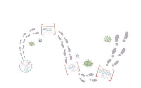 Conciencia Corporal by Luvia Cecilia Reyes Martínez on Prezi