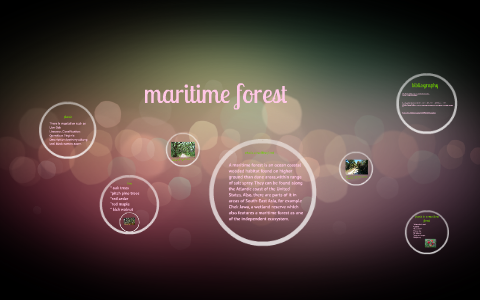 maritime forest by haley chauncey on Prezi